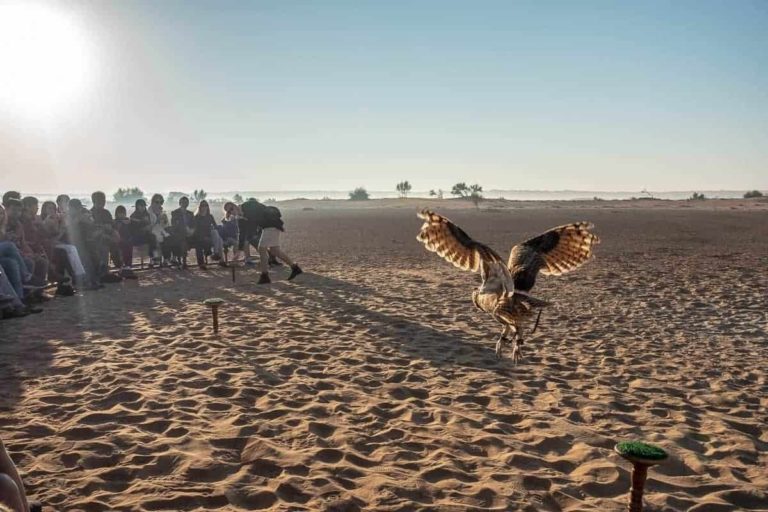 Avis: Al Maha, a Luxury Collection Desert Resort & Spa, Dubai | milesopedia