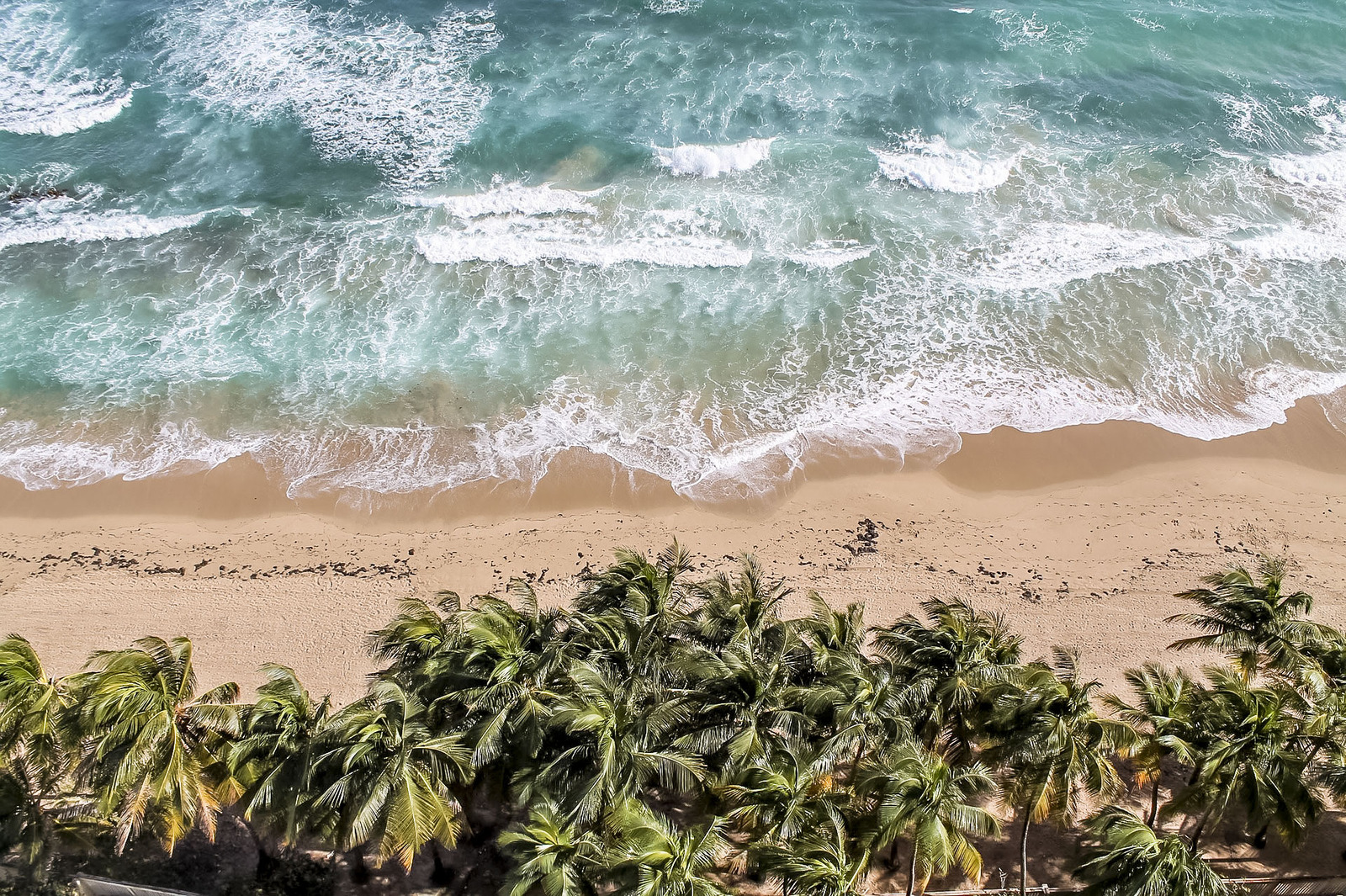 Guide de voyage au Costa Rica | Itinéraires | Milesopedia