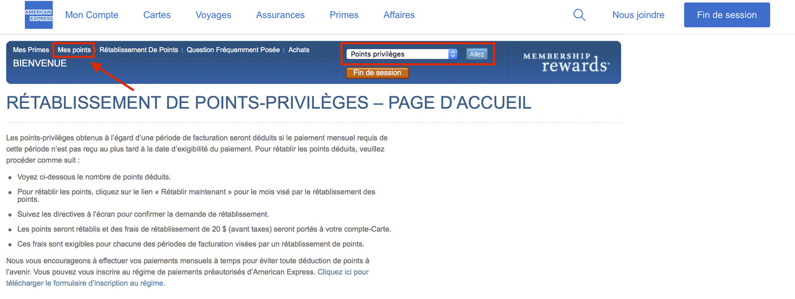 How do I see my points earning details with Amex? | Milesopedia
