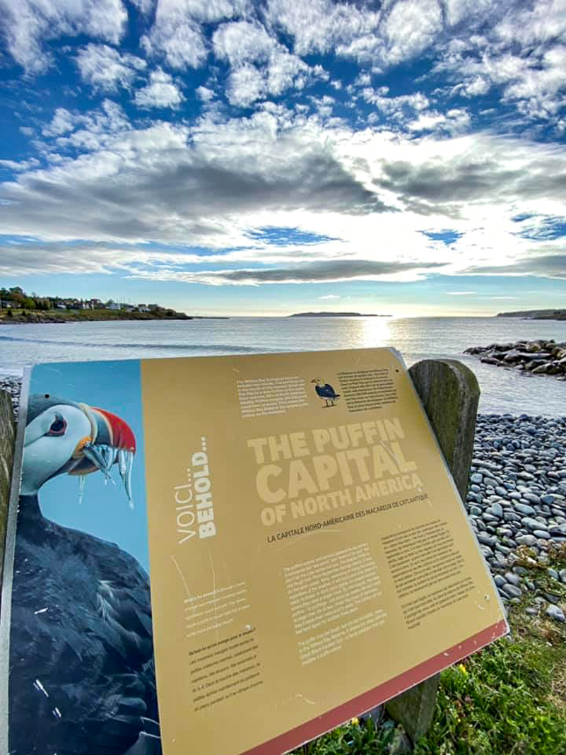 Canada : Travel to Newfoundland | Itinerary and Highlights | Milesopedia