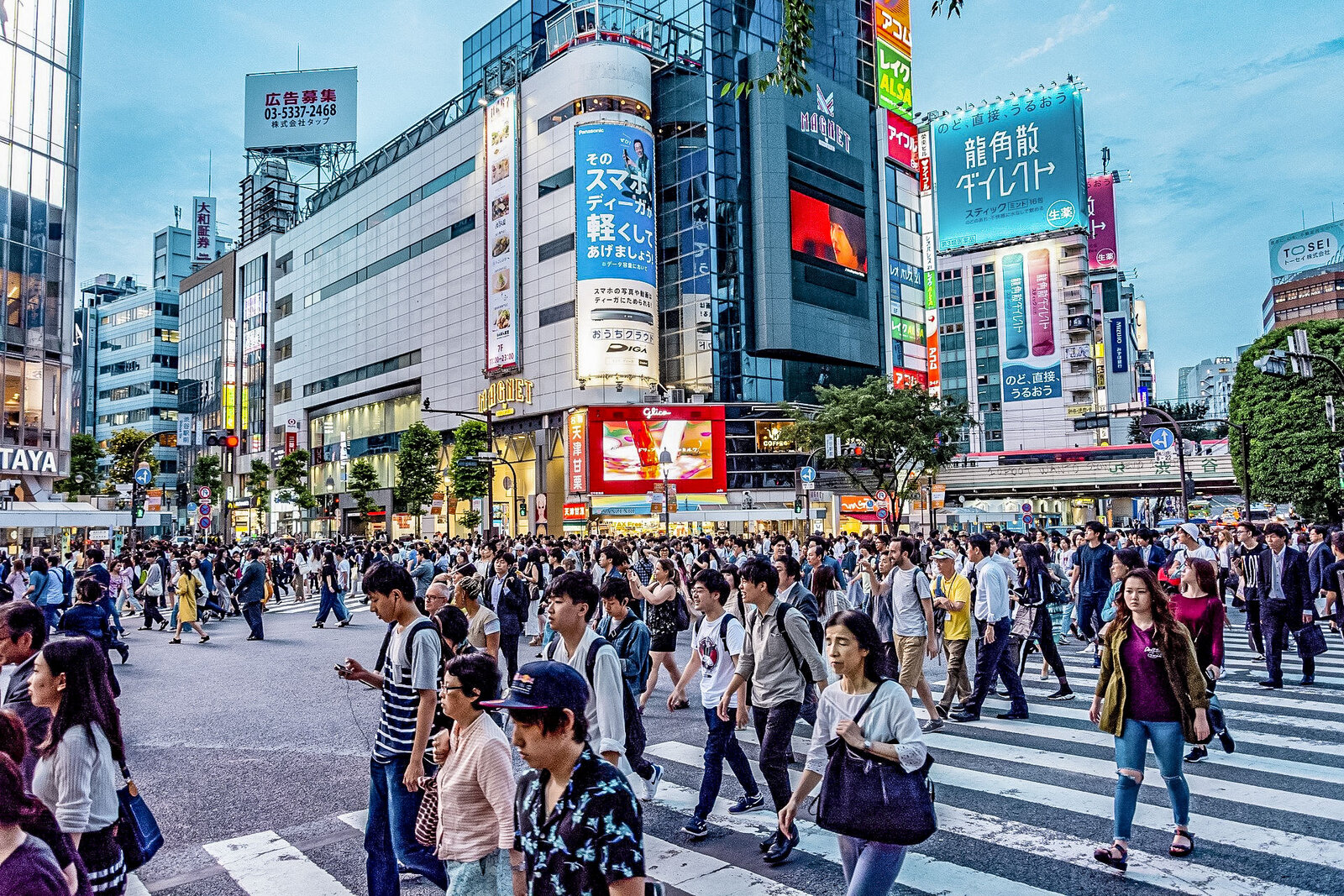 Best Ways To Travel To Japan Using Points & Miles | Milesopedia