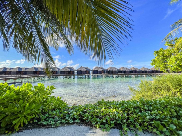 Review: Sheraton Maldives Full Moon Resort & Spa | Milesopedia