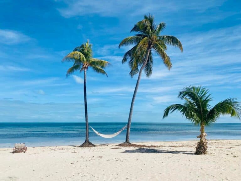 Our Bahamas travel guide: Freeport and Grand Bahama | Milesopedia