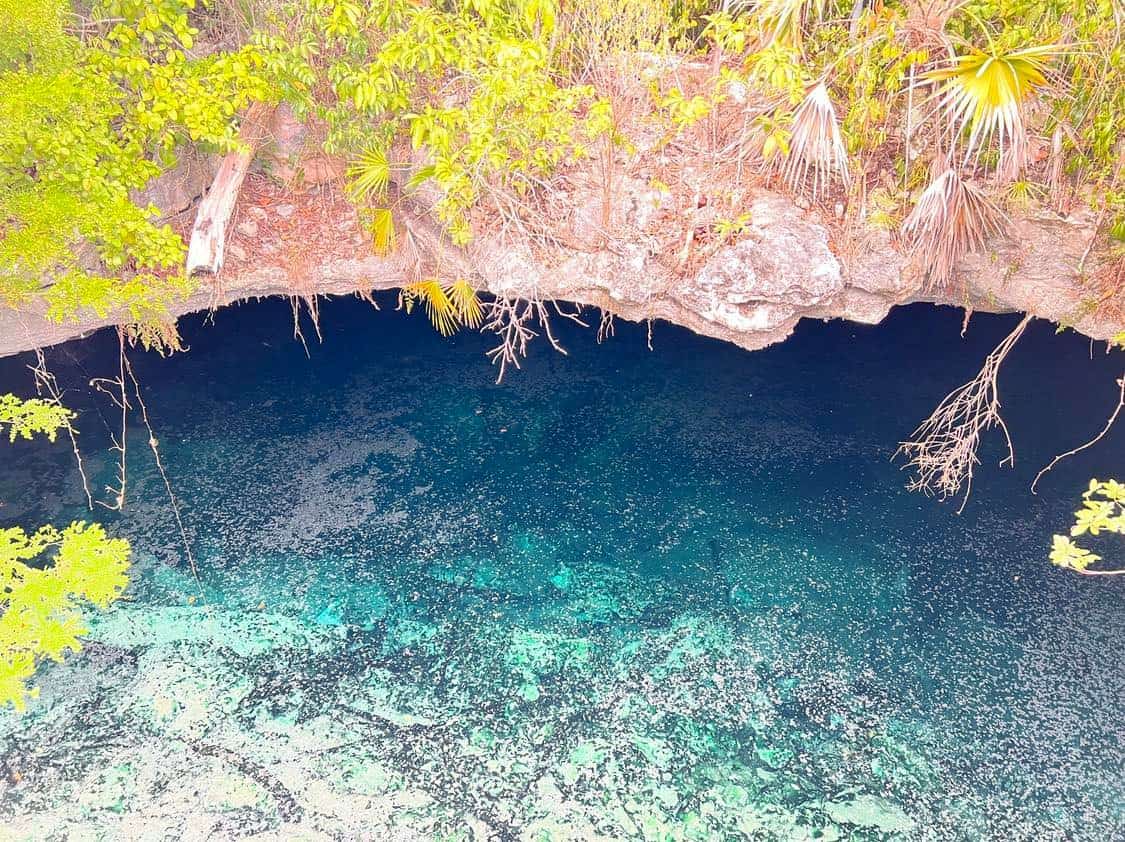 Our Bahamas travel guide: Freeport and Grand Bahama | Milesopedia