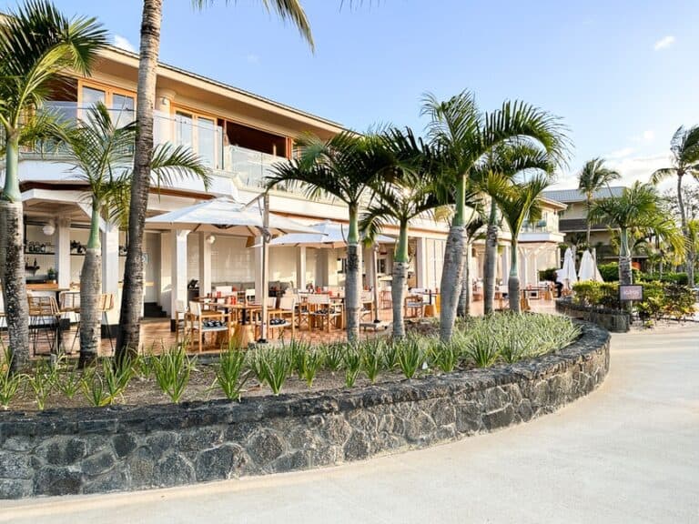 Marriott Stars & Luminous: take advantage of offers at Marriott ...