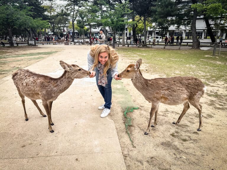 Incontournables à Nara: Guide ultime sur la ville des biches sacrées au ...