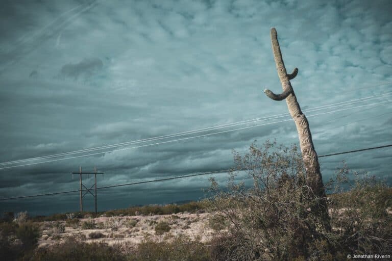 United States: Arizona Travel Guide | Milesopedia