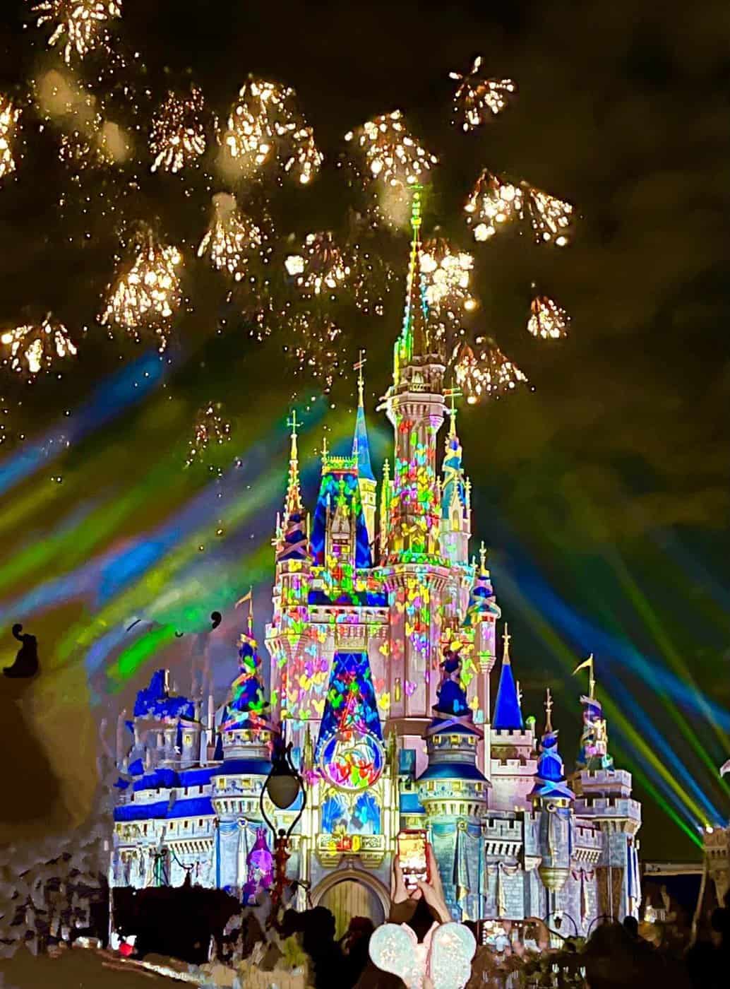 Témoignage : Un voyage familial à Disney avec les points | Milesopedia