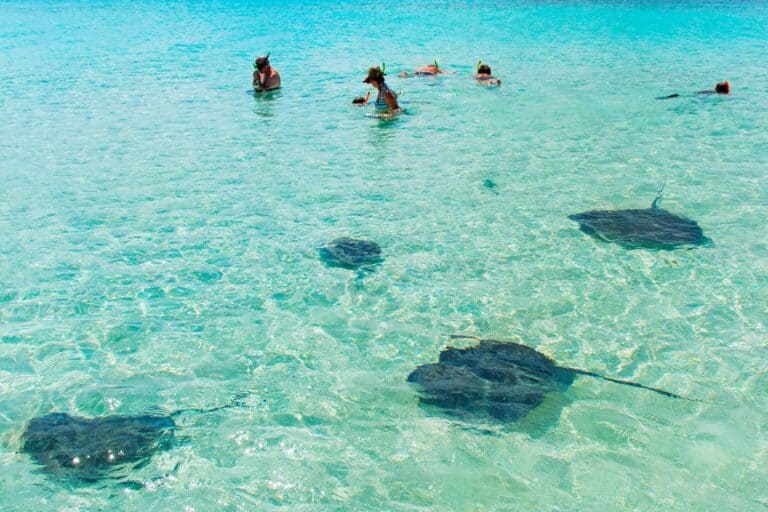Îles Turquoises : notre guide sur les tout inclus et activités ...