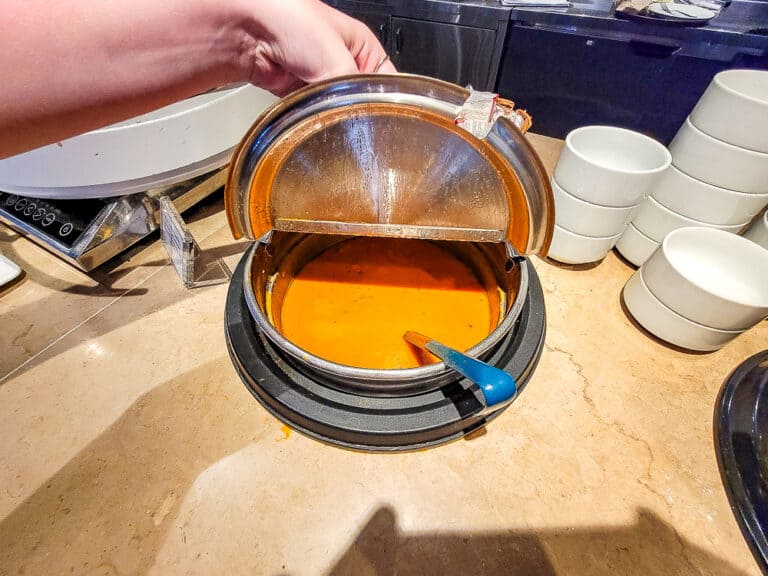 Review : Plaza Premium Lounge (domestic flights), Vancouver ...