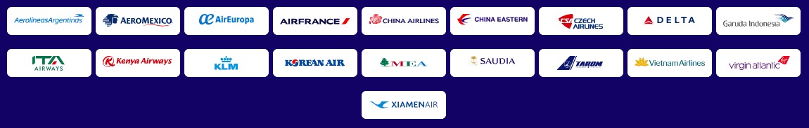 The SkyTeam Airline Alliance: Your Guide to Benefits, Member Airlines ...