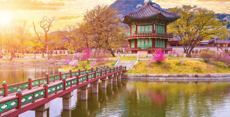 WestJet Business Class: Everything You Need To Know | Milesopedia